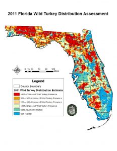 Hunting Spring Turkeys Without a Quota Permit | Great Days Outdoors