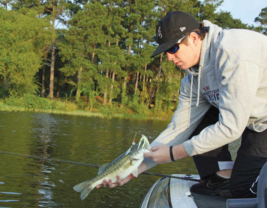 Anatomy of Bass Spinnerbait | Great Days Outdoors