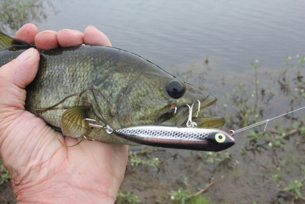 Oldies but Goodies—Bass Lures of Old that Still Catch Fish | Great Days ...