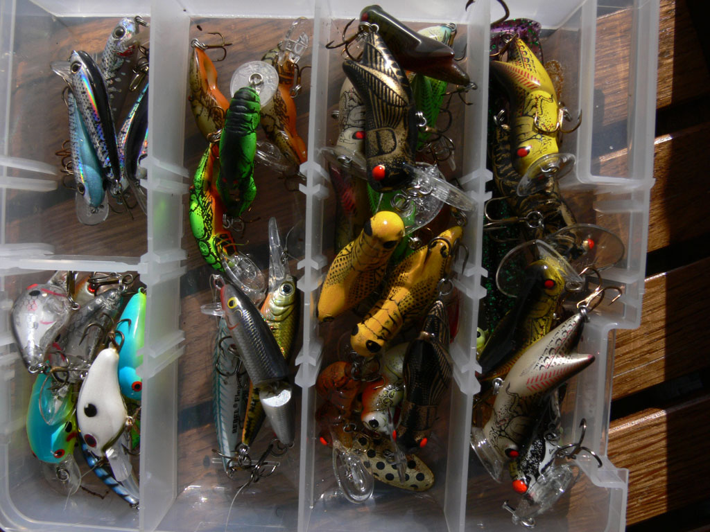 The Best Bream Lures and Equipment For Success | Great Days Outdoors