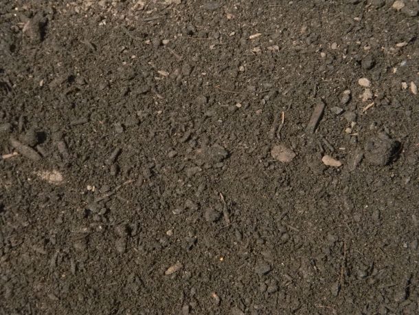 Tips for Understanding Your Soil Sample | Great Days Outdoors