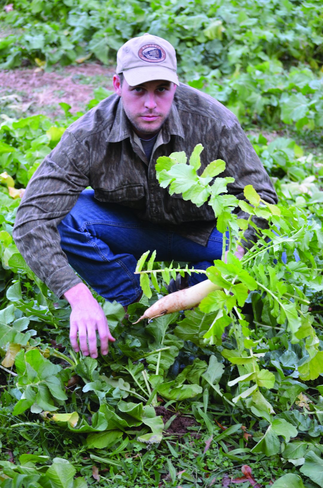 The Secret Value of Food Plot Crop Rotation | Great Days Outdoors
