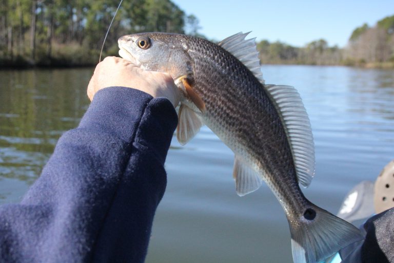 Fishing for Redfish in Lower Mobile Bay Bayous | Great Days Outdoors