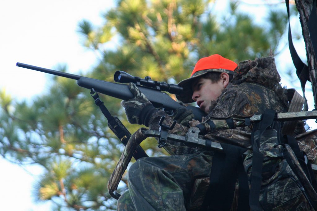 Tips and Methods for Hunting Clear-Cut Land | Great Days Outdoors