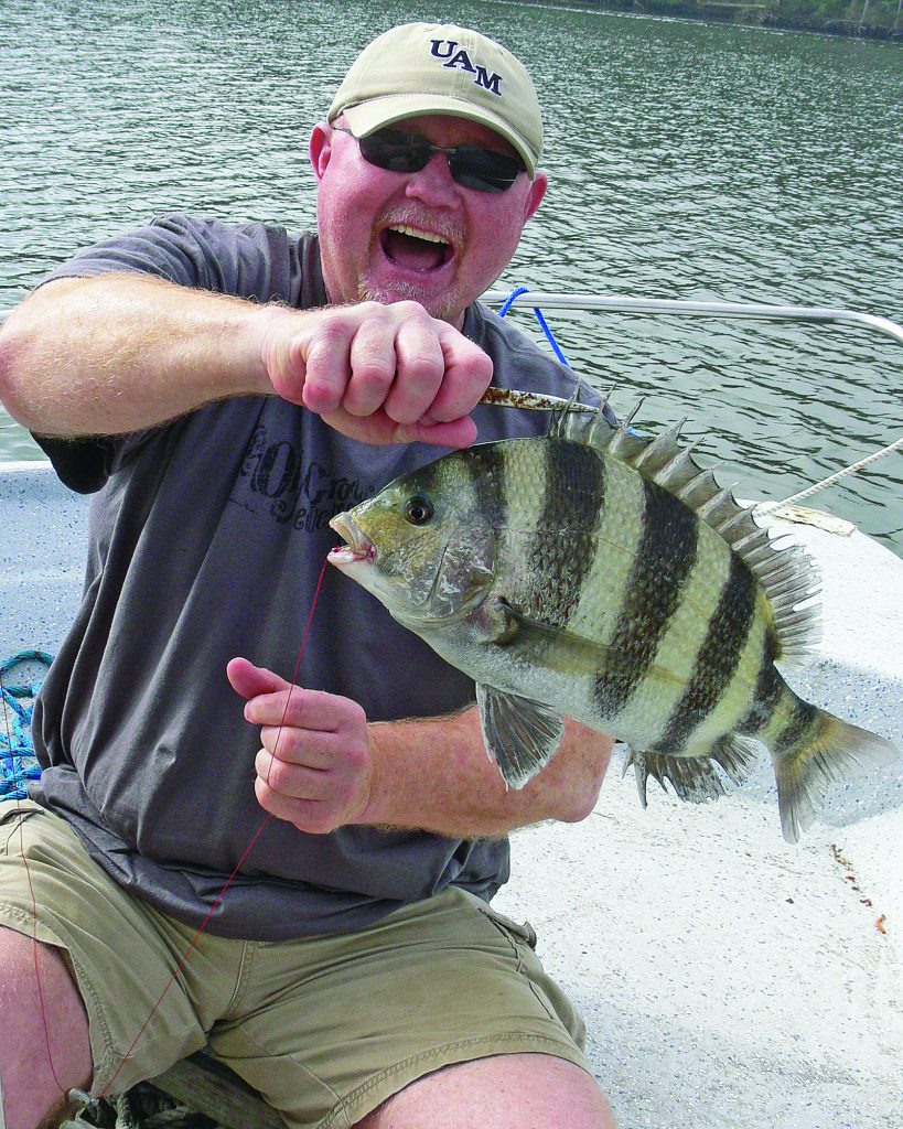 Fishing Sheepshead in Alabama’s Inshore Reefs