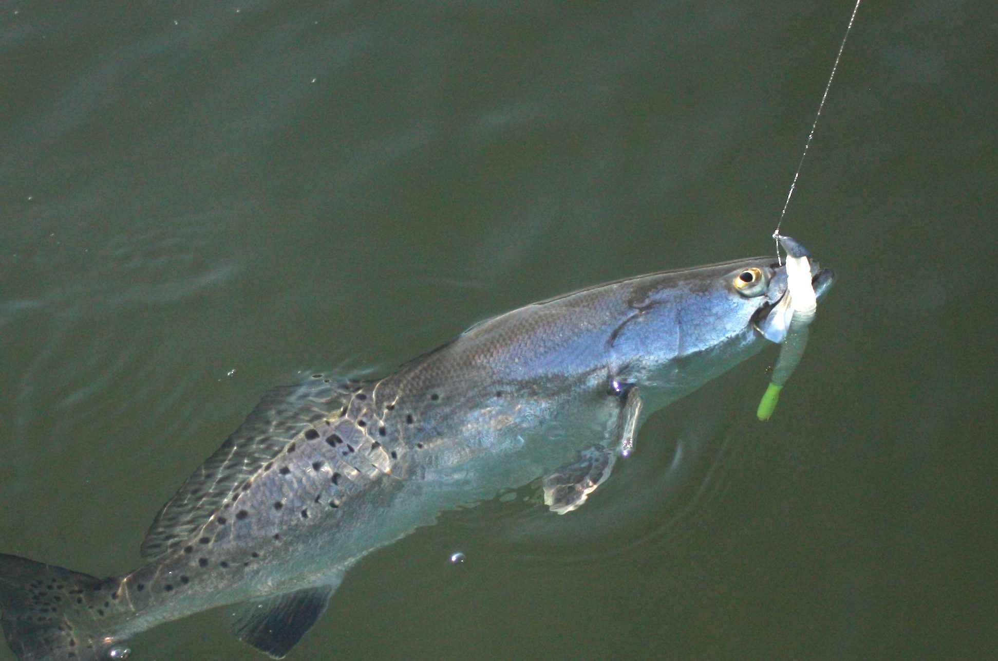 Mobile Bay Fishing the Theodore Industrial Canal