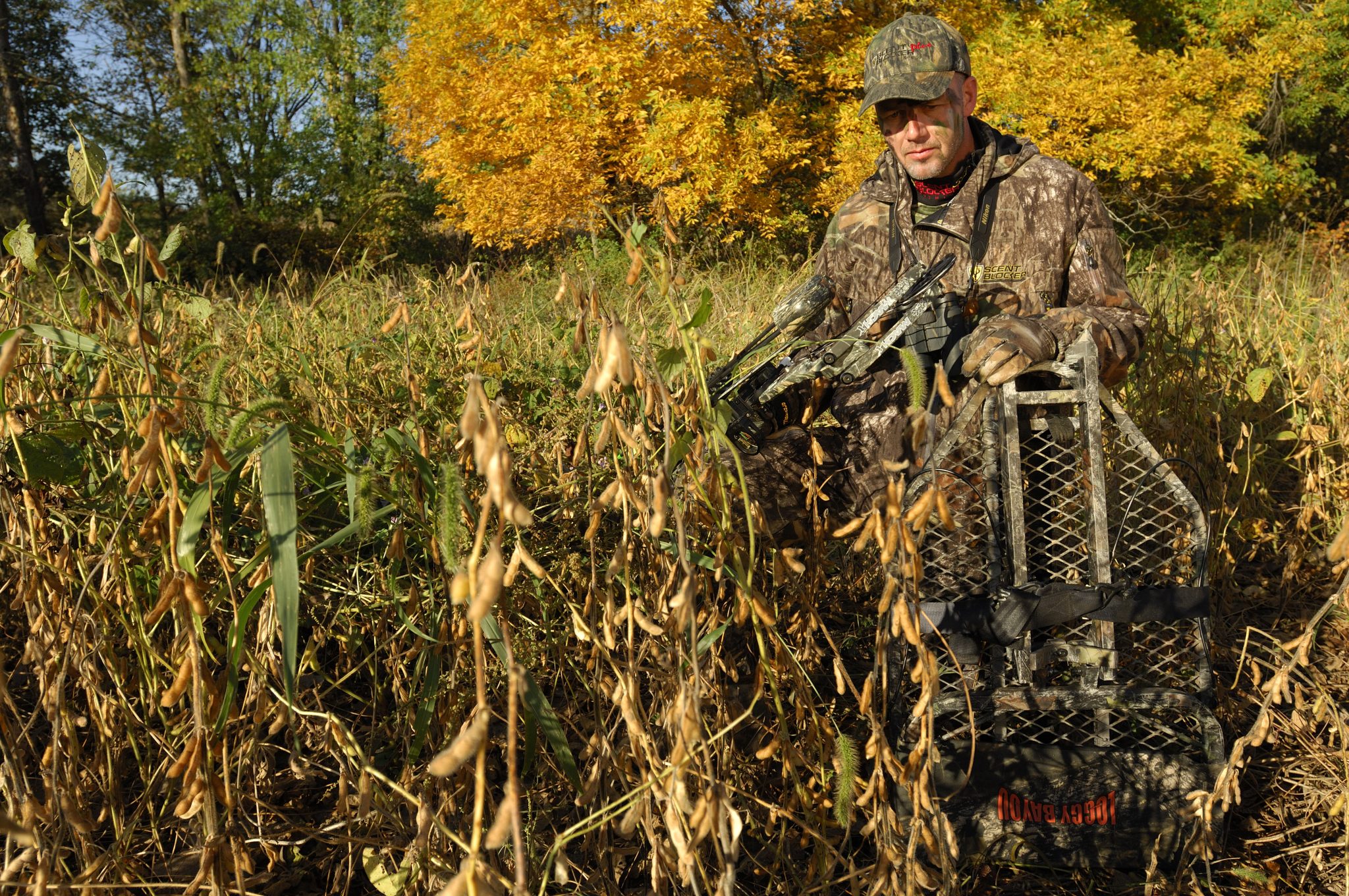 Planting The Best Wild Turkey Food Plots For Spring and Fall