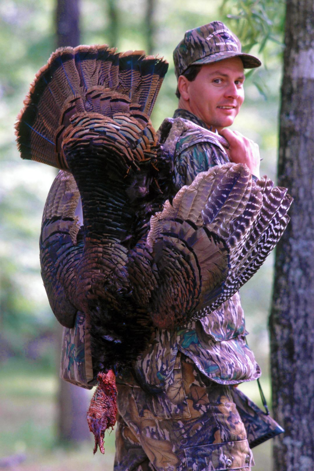 Planting The Best Wild Turkey Food Plots For Spring and Fall