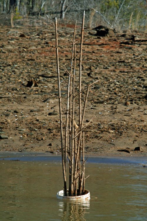 Fish Attractors: Creating the Best Fish Habitat for Ponds | Great Days ...