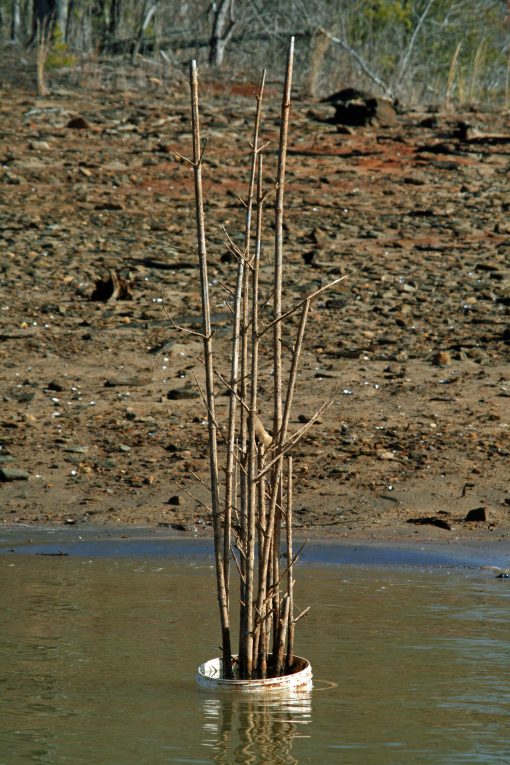 Fish Attractors: Creating the Best Fish Habitat for Ponds | Great Days ...