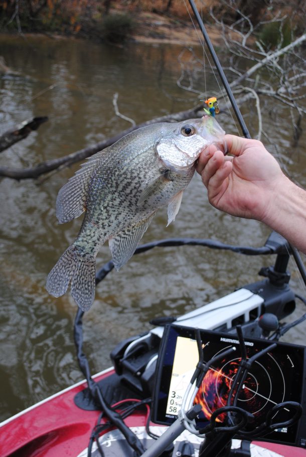 Spring Crappie on the Beds | Great Days Outdoors