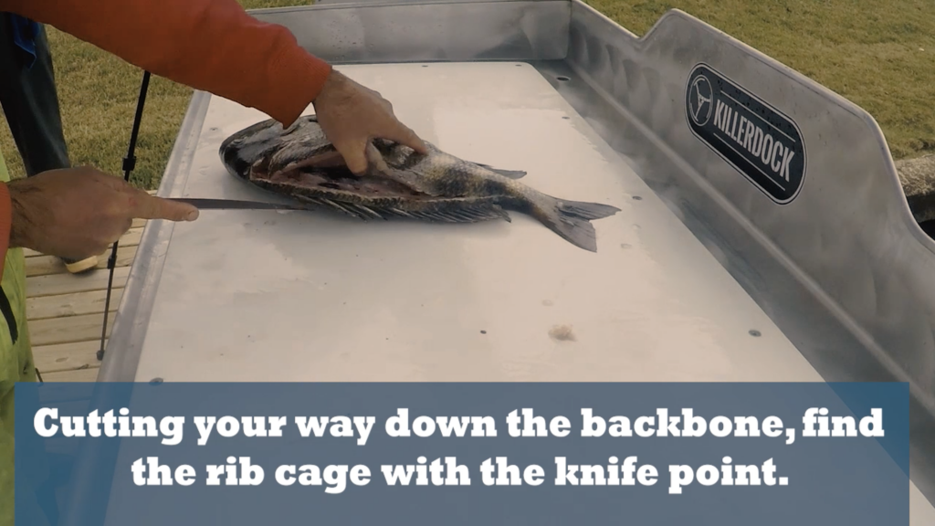 How To Fillet A Sheepshead Boneless, Skinless and Easy