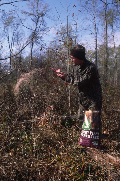 Planting Food Plots for Deer in the Woods