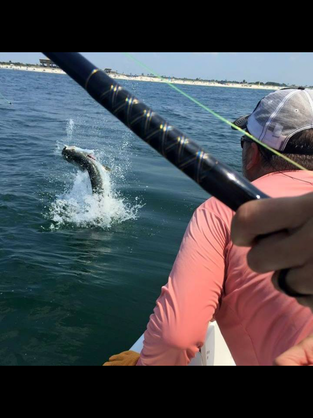 How to Catch Tarpon - Alabama Tarpon
