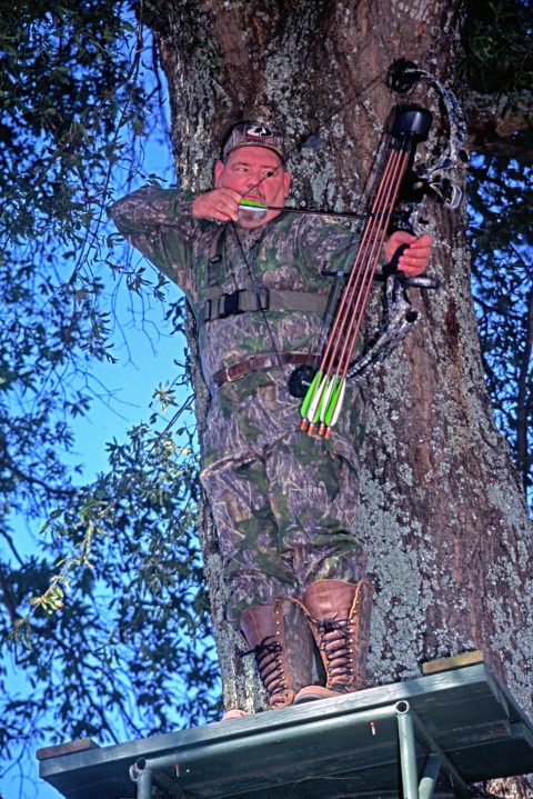 Tree Stand Hunting Tips That Make a Difference | Great Days Outdoors