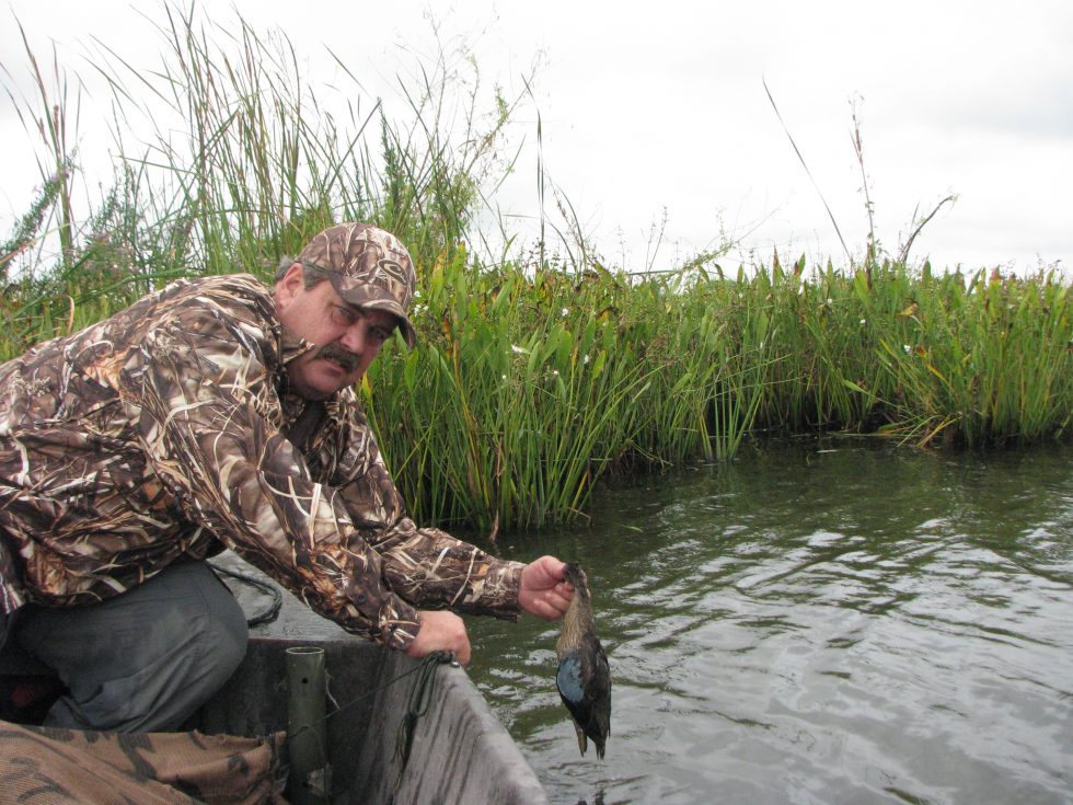 September Teal Hunting Tips for Gulf Coast Hunters | Great Days Outdoors