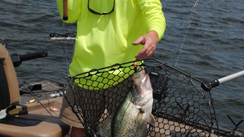 Crappie Fishing in Alabama - Overlooked Hotspots | Great Days Outdoors