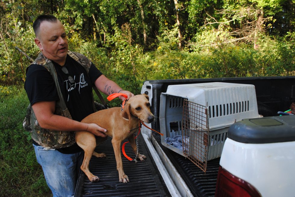 Characteristics of the Best Squirrel Dog Breeds | Great Days Outdoors