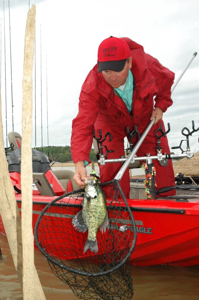 When Do Crappie Spawn and How to Catch Them