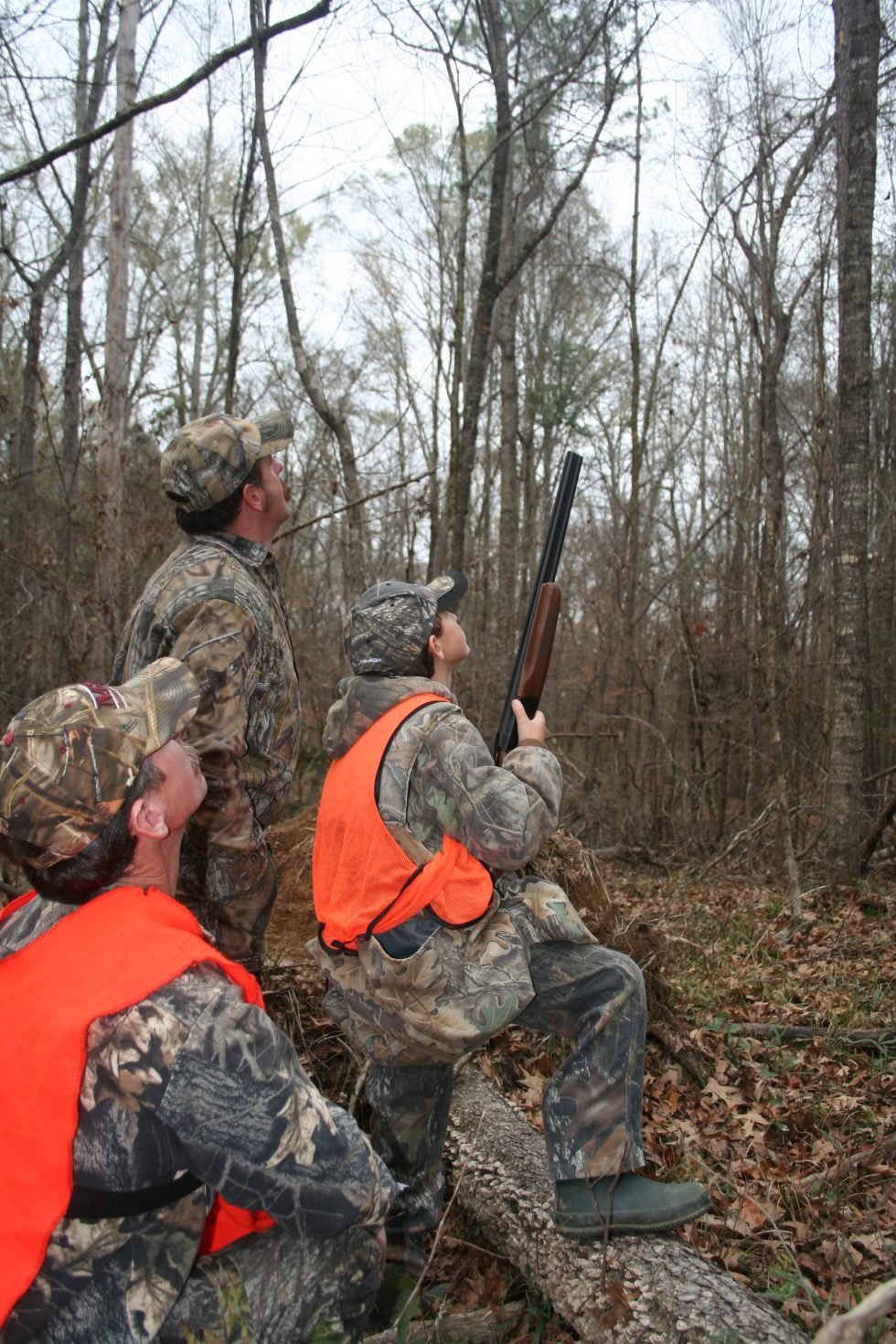 Good Squirrel Dogs: A Joy to Hunt With | Great Days Outdoors