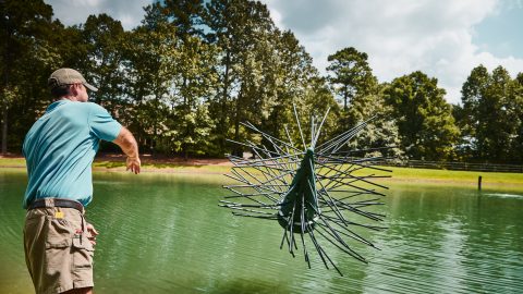 Fish Attractors: Creating the Best Fish Habitat for Ponds | Great Days ...