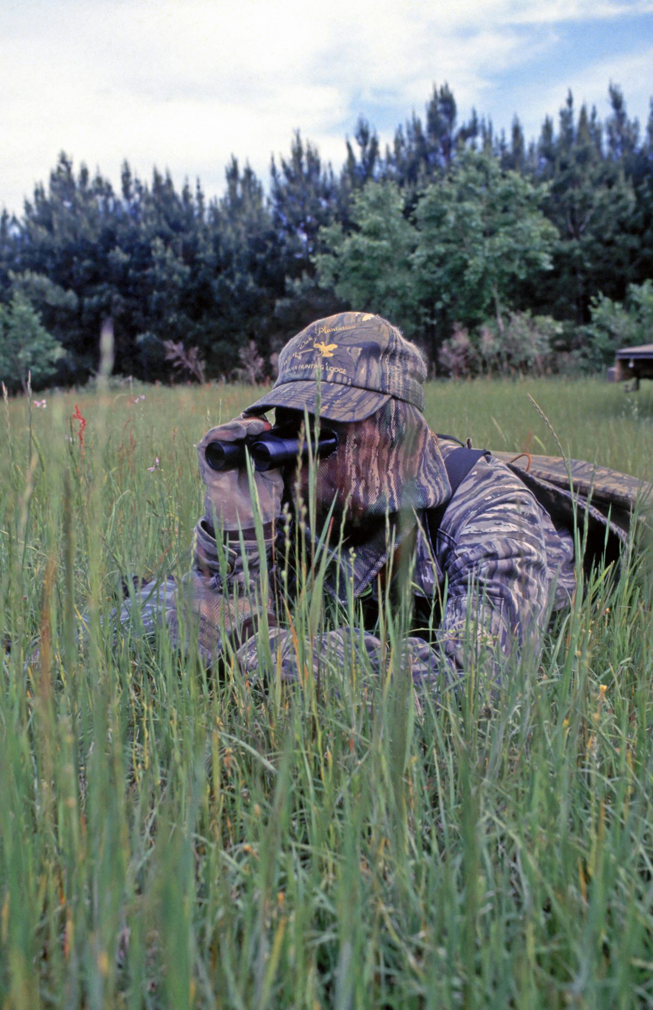 Turkey Scouting Tips From the Pros | Great Days Outdoors