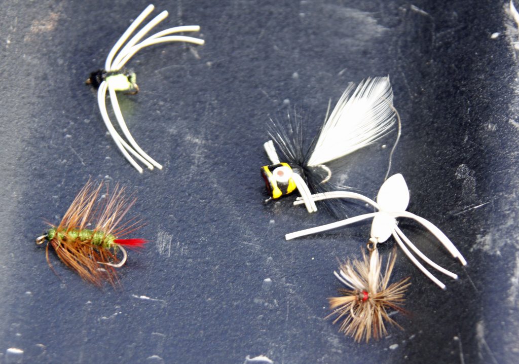 Bluegill Fishing Tips For The Spring