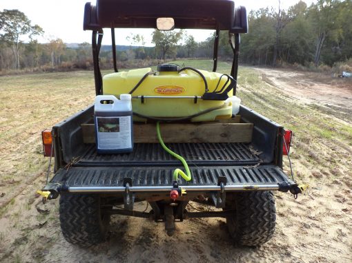 Picking the Best Food Plot for Deer in Fall and Winter | Great Days ...