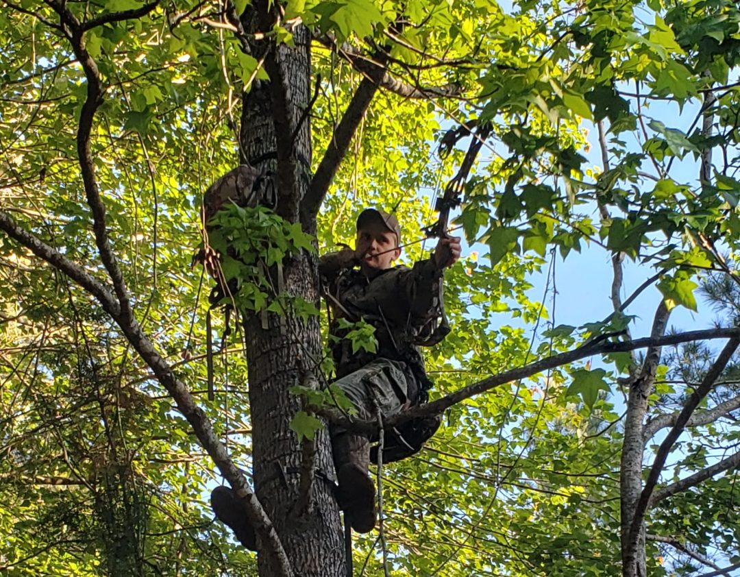 Tree Saddle Hunting 101