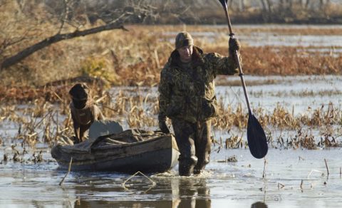 Choosing the Best Duck Hunting Kayak for Your Area
