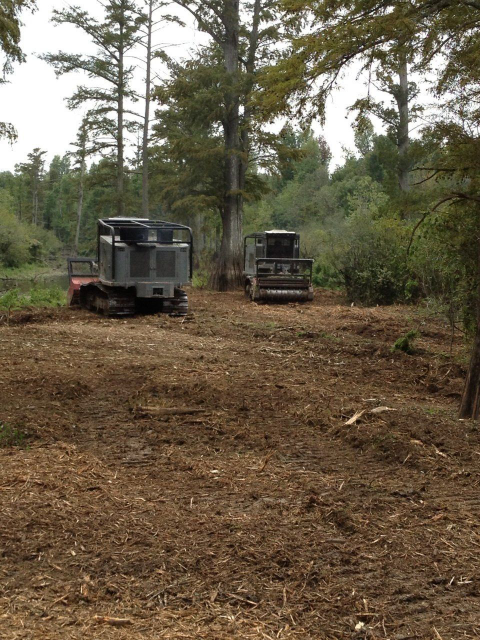 How To Do A Controlled Burn For Deer And Turkey | Great Days Outdoors