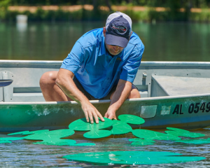 Fish Attractors: Creating the Best Artificial Fish Habitat Structures ...