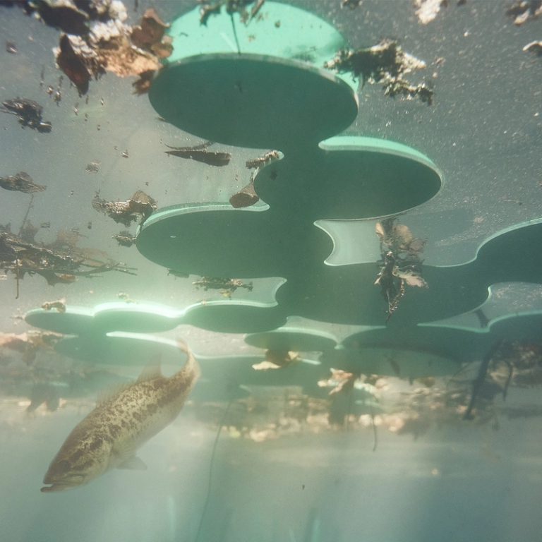 Fish Attractors: Creating the Best Artificial Fish Habitat Structures ...