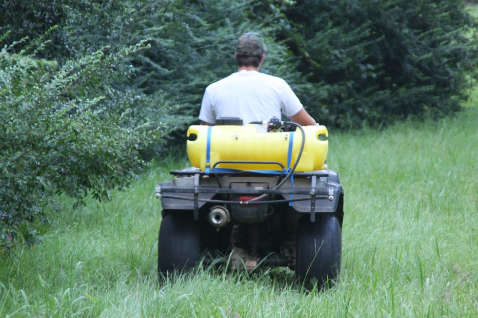 Planting Food Plots for Deer in the Woods | Great Days Outdoors