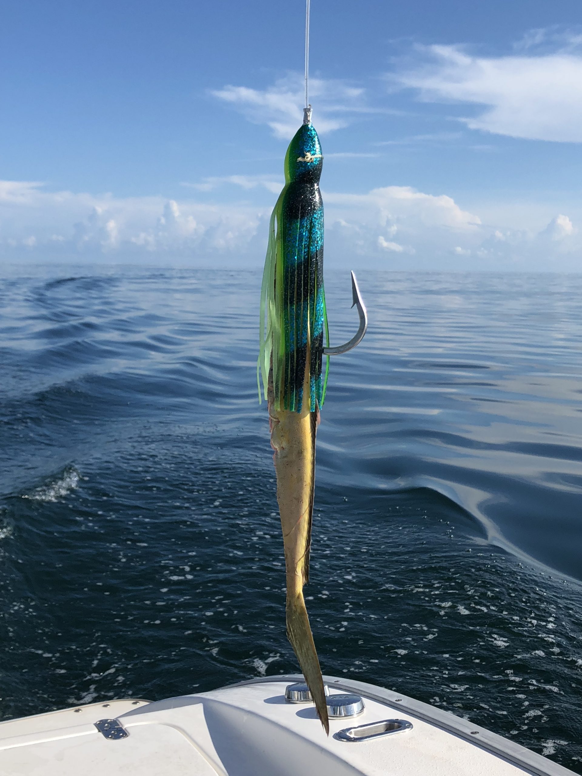 Techniques for Catching Swordfish Day or Night