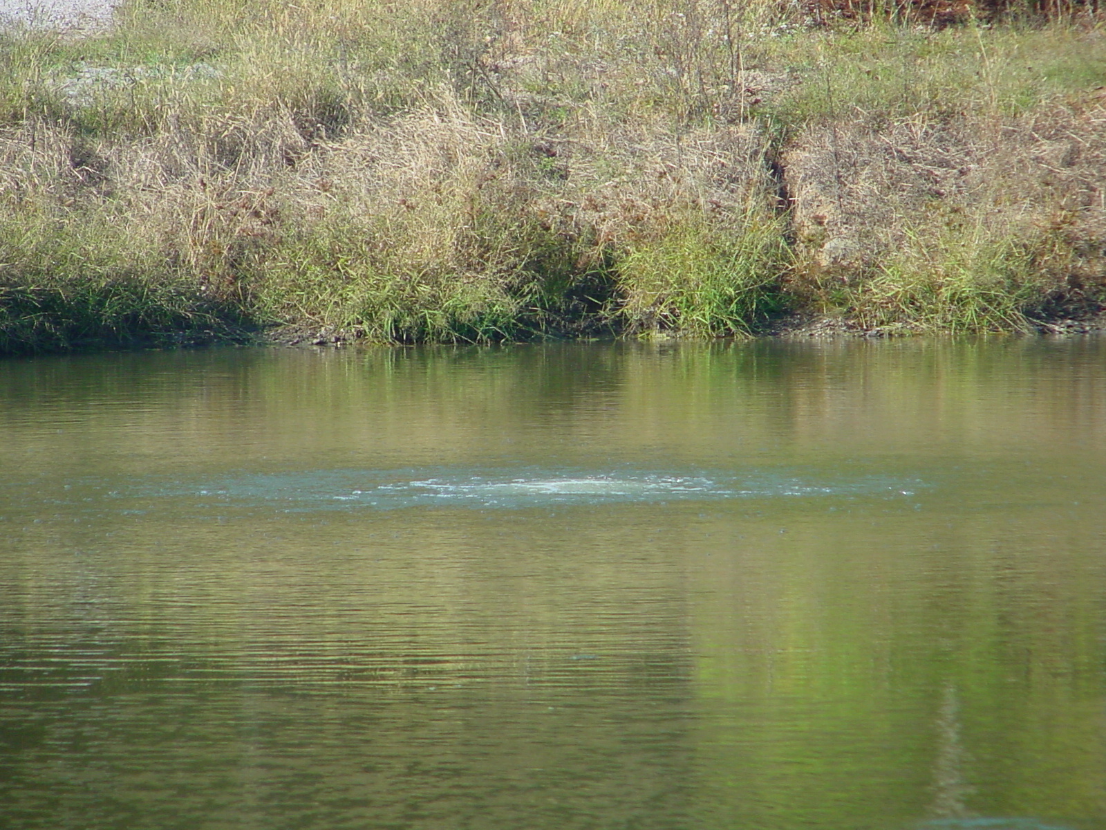 Choosing the Best Pond Aeration System