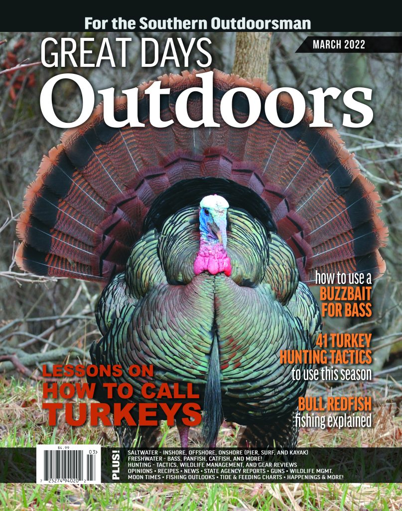 Home | Great Days Outdoors