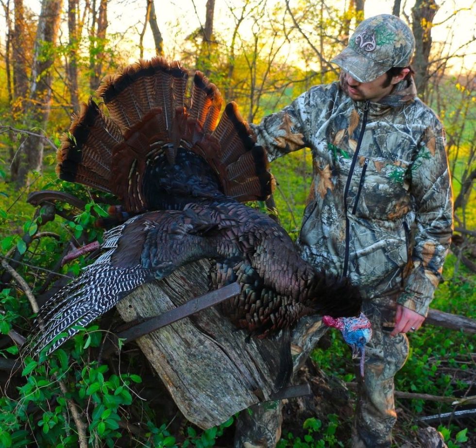 41 Turkey Hunting Tips and Tactics to Use This Season | Great Days Outdoors