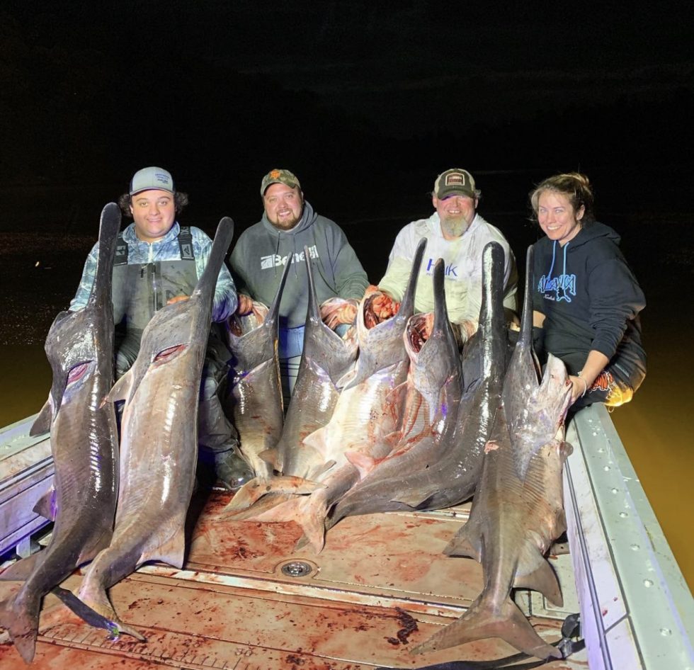 Bowfishing Tips for Beginners