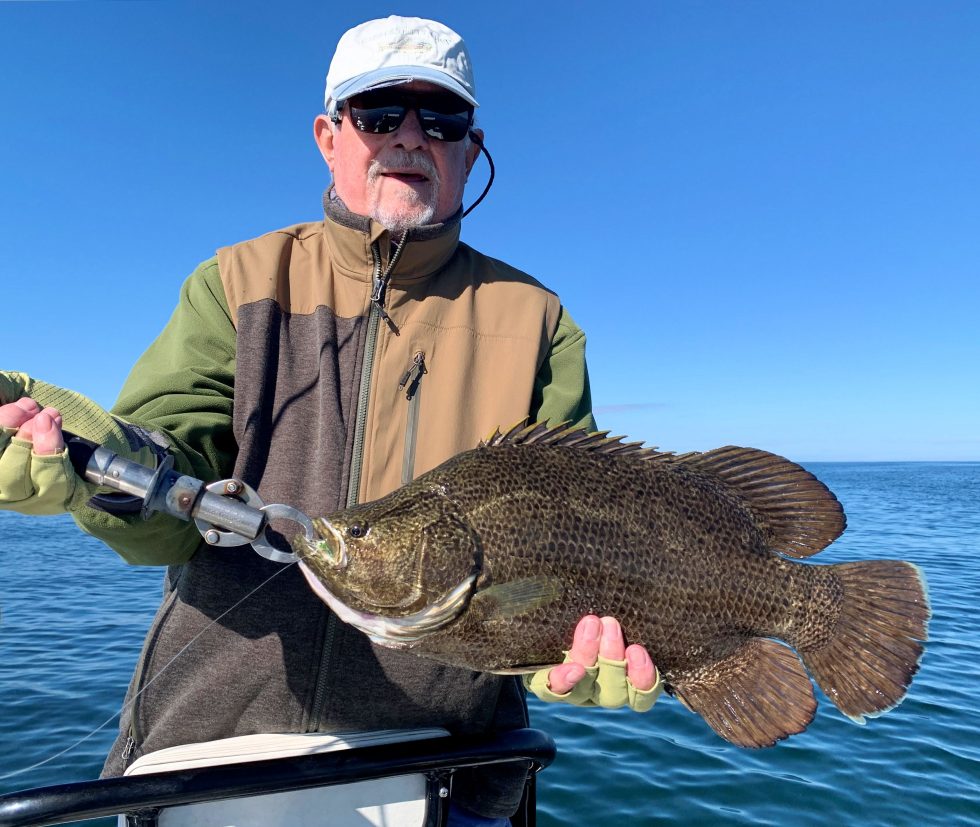 Tripletail Fishing Explained: 3 Ways | Great Days Outdoors