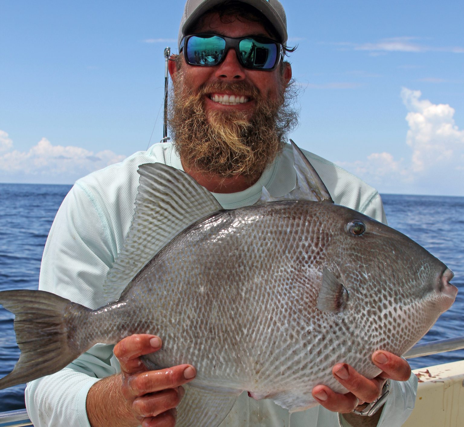 How To Catch Triggerfish And Beeliner