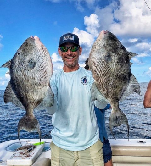 How To Catch Triggerfish And Beeliner