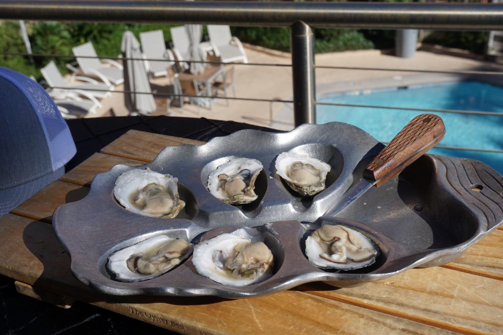 How To Shuck Oysters At Home | Great Days Outdoors