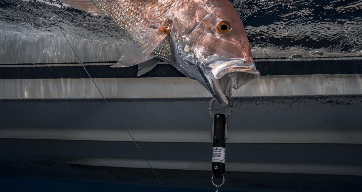 Great Days Outdoors - The Essential Hunting and Fishing Guide