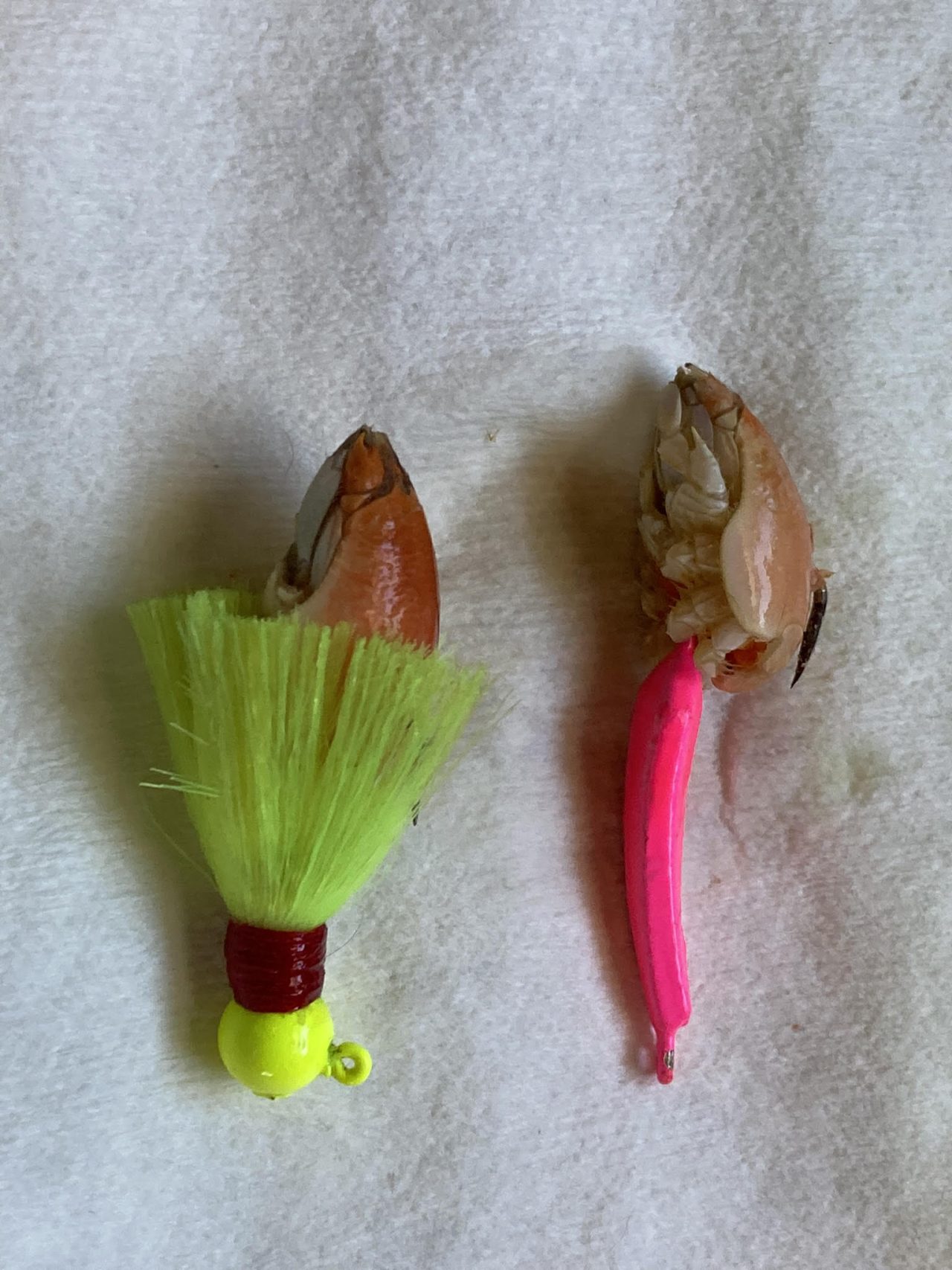 How To Hook A Sand Flea