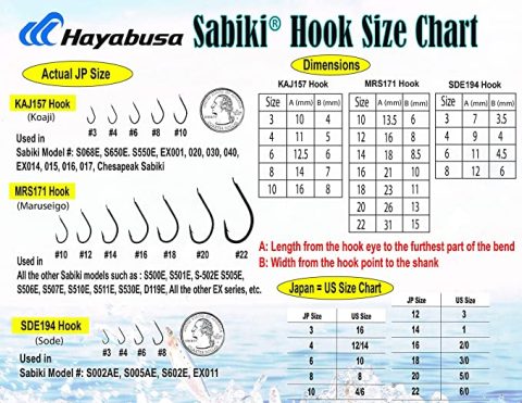 Choosing The Best Sabiki Rig To Make Bait | Great Days Outdoors