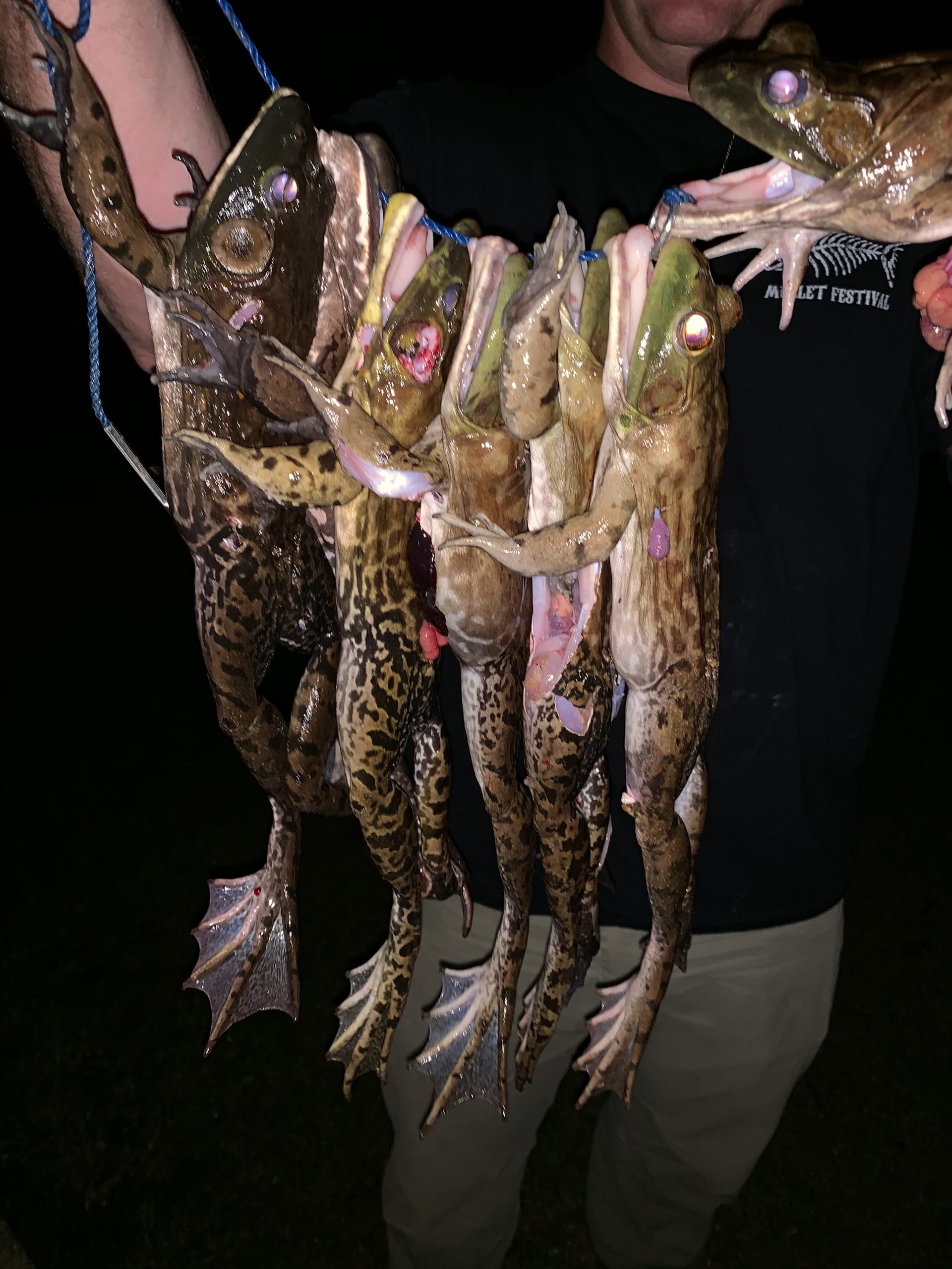 Frog Gigging - The Complete Guide