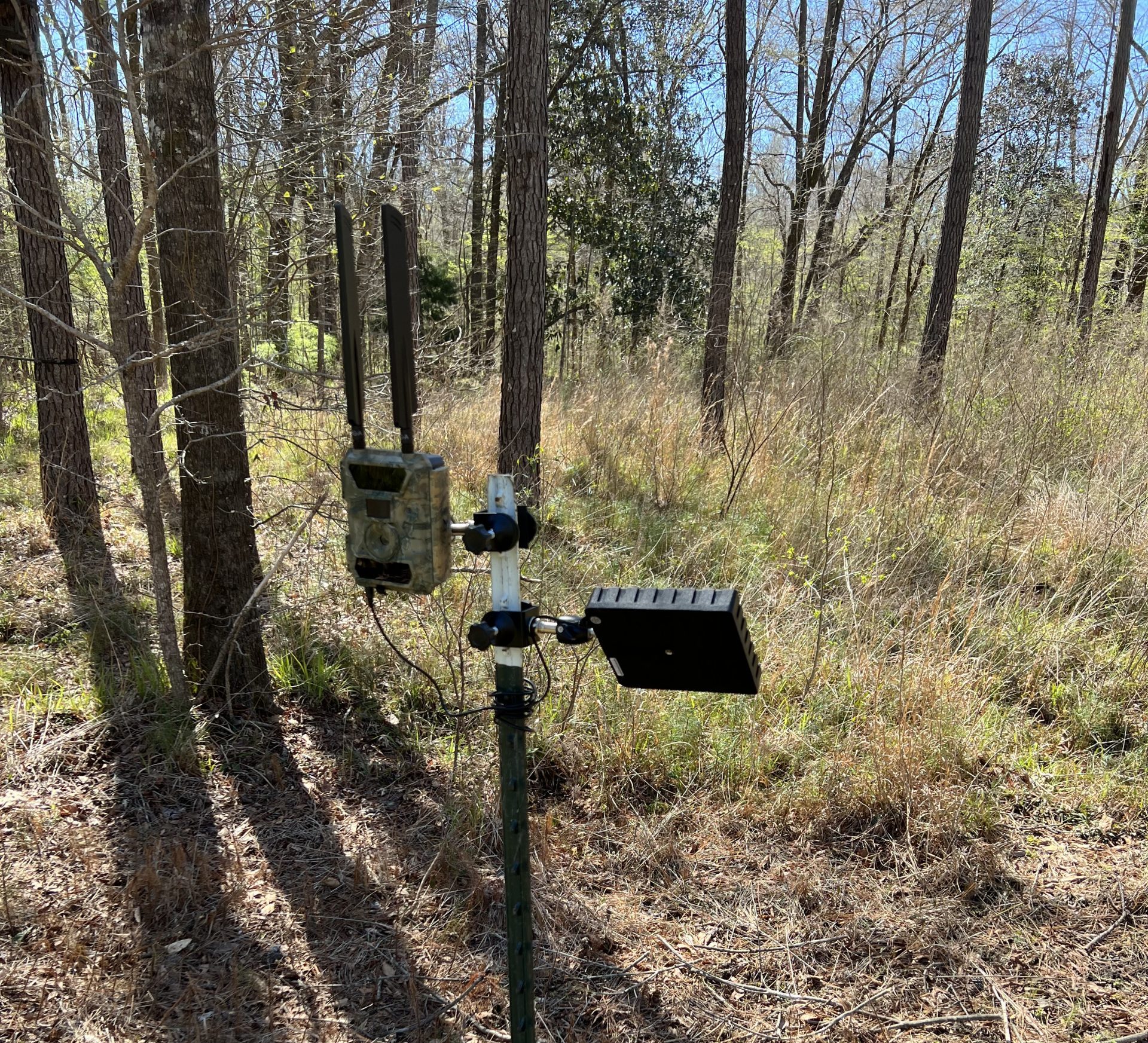 Preventing Poachers And Trespassers On Your Land | Great Days Outdoors