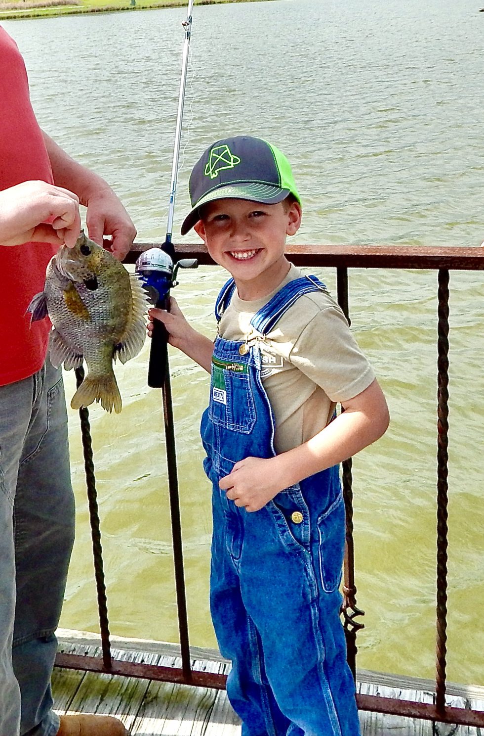 Pond Stocking - The Complete Guide