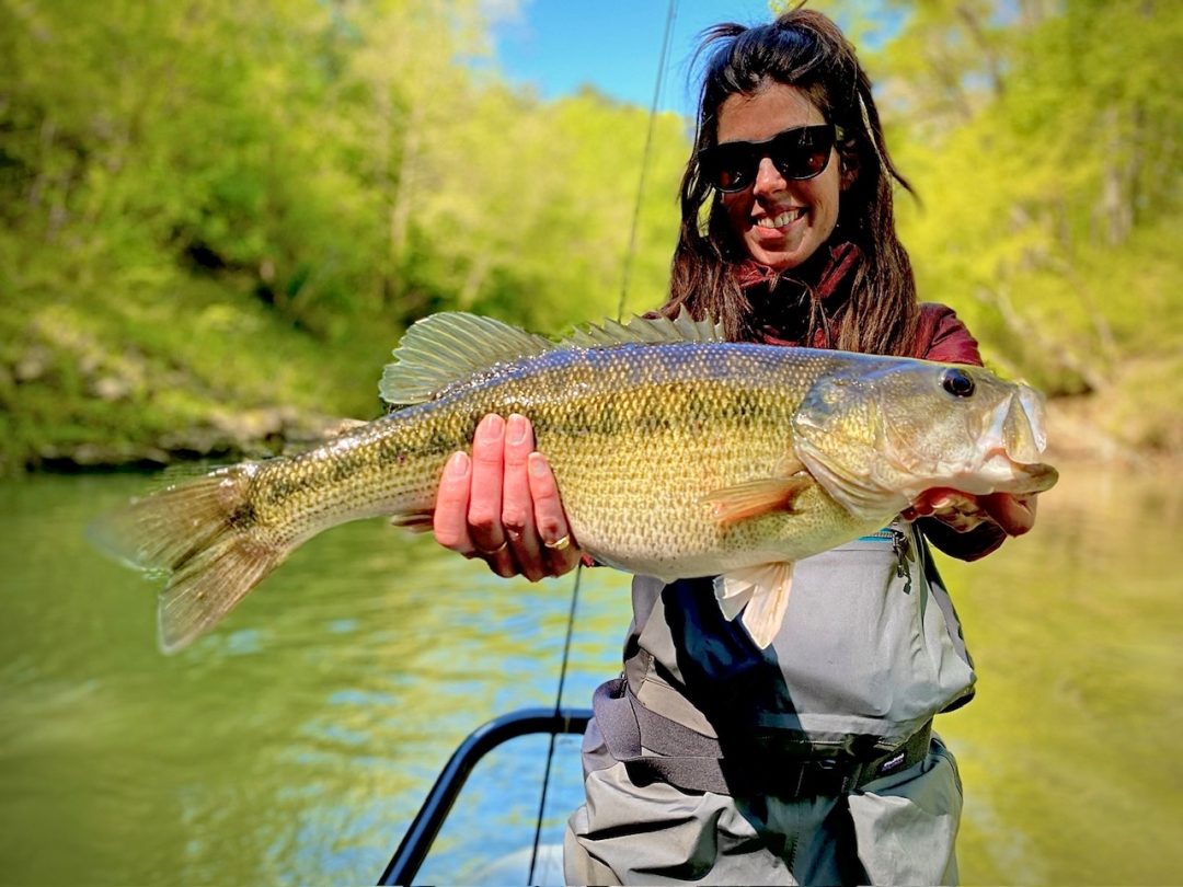Spotted Bass Fishing - The Expert's Guide